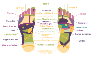 reflexology-chart | Internally Happy | Massage and Holistic Healing